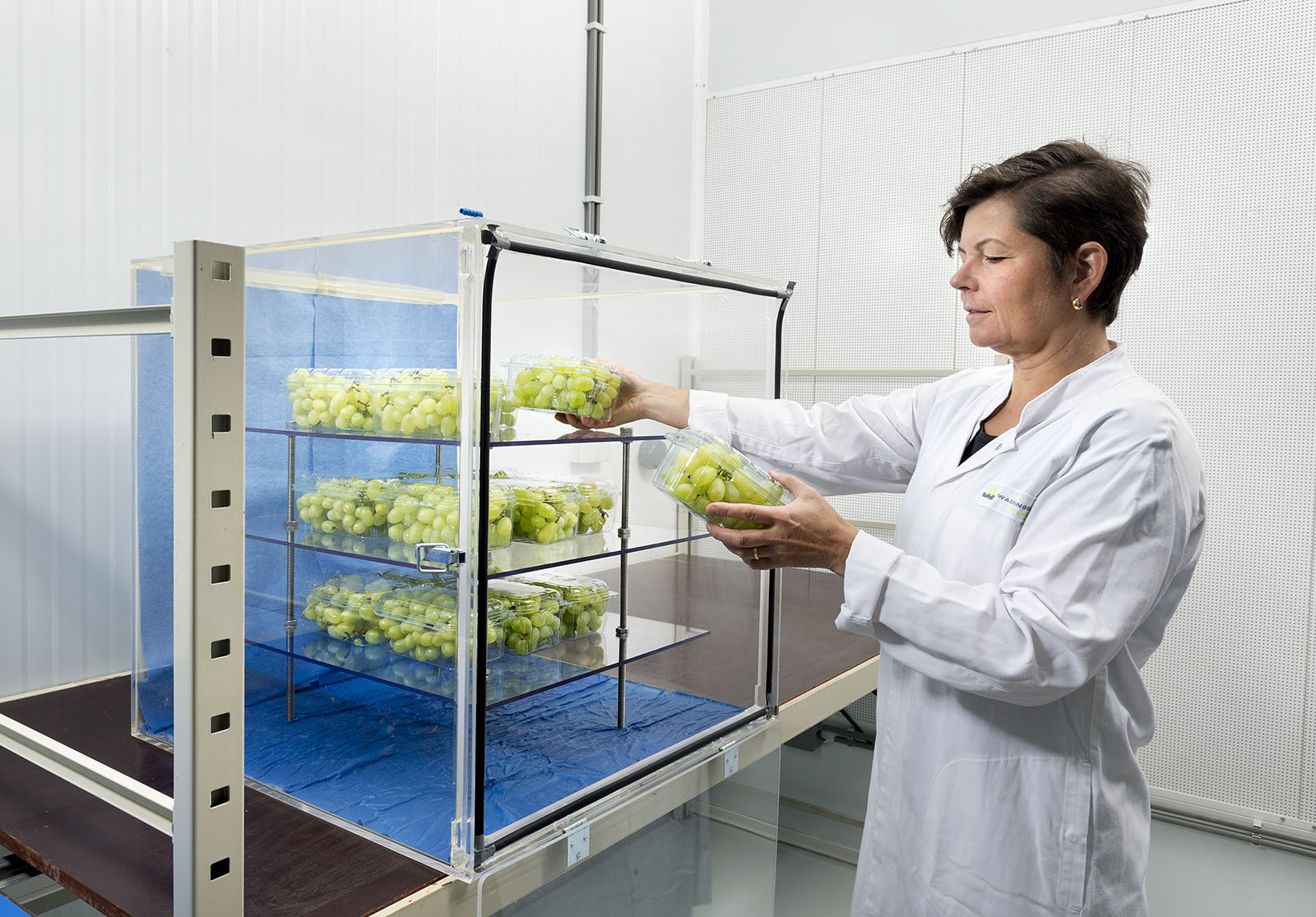 Lekker lang verse groente, fruit en bloemen - Uitgelicht
