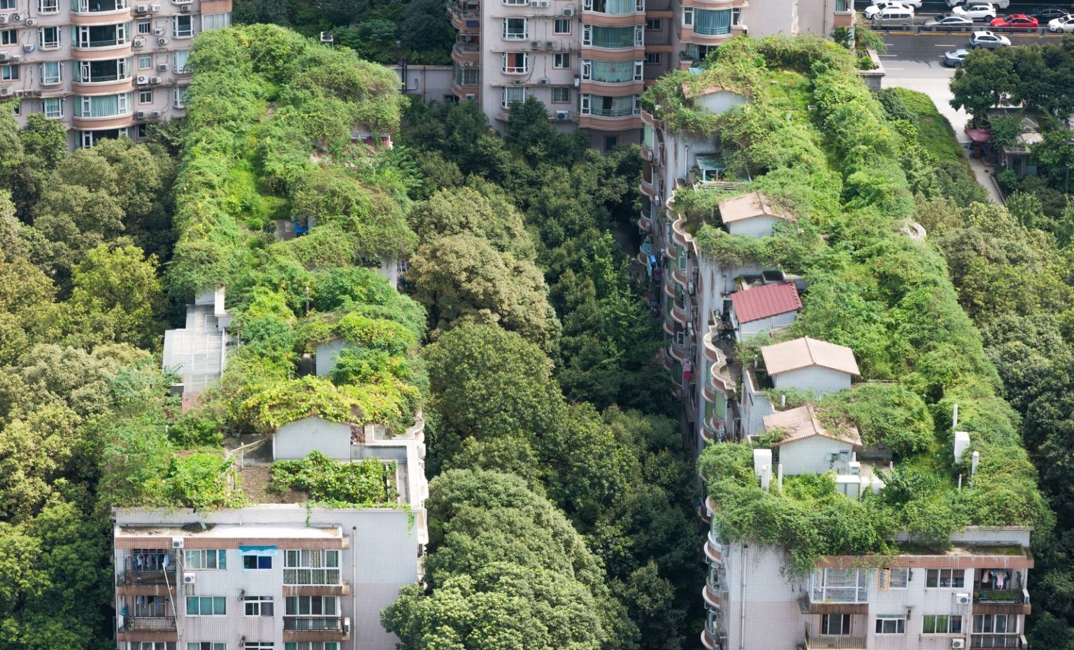 Groene stad van de toekomst - Uitgelicht